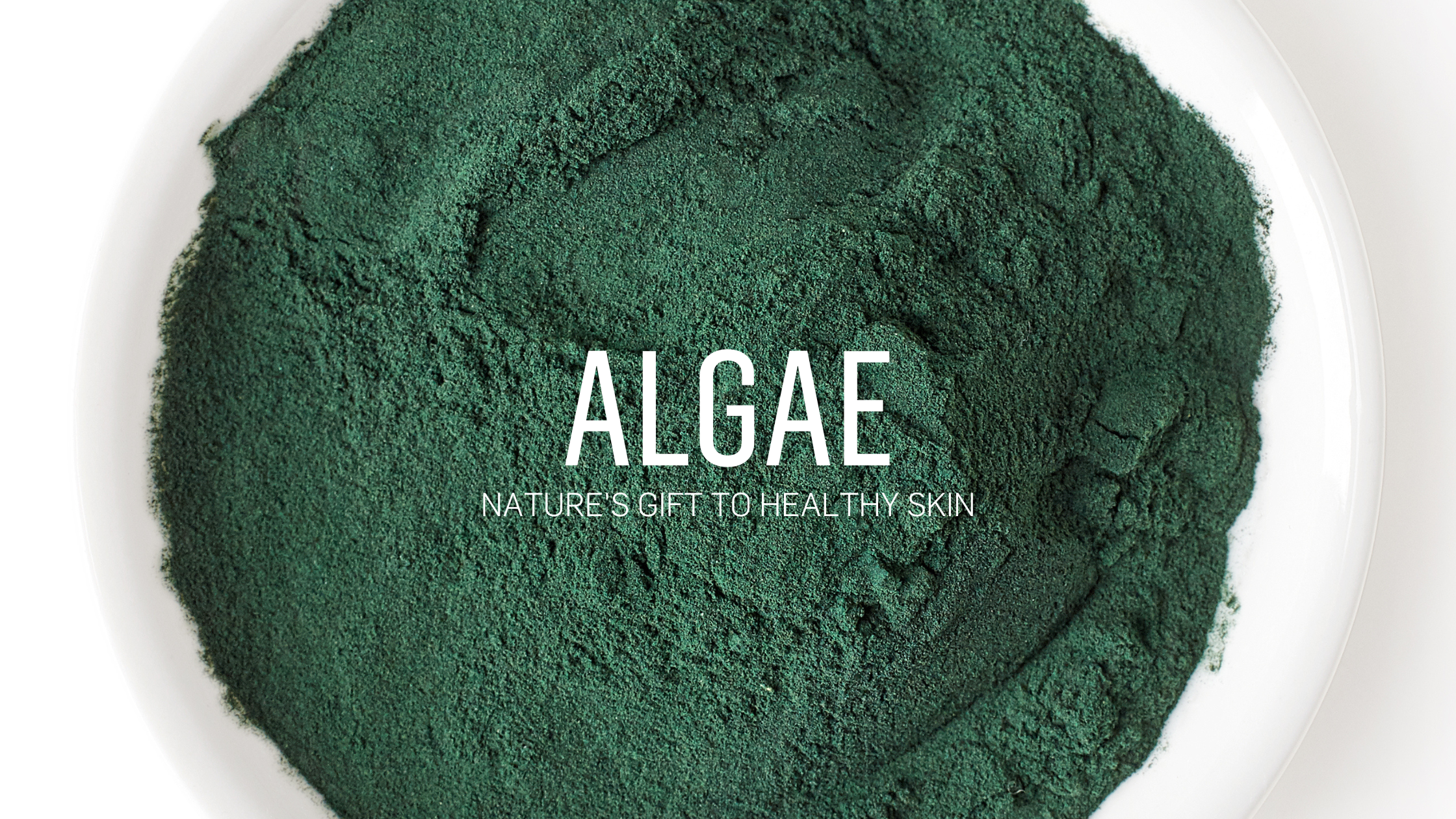 Algae - Nature's Gift to Healthy Skin – Kalaia