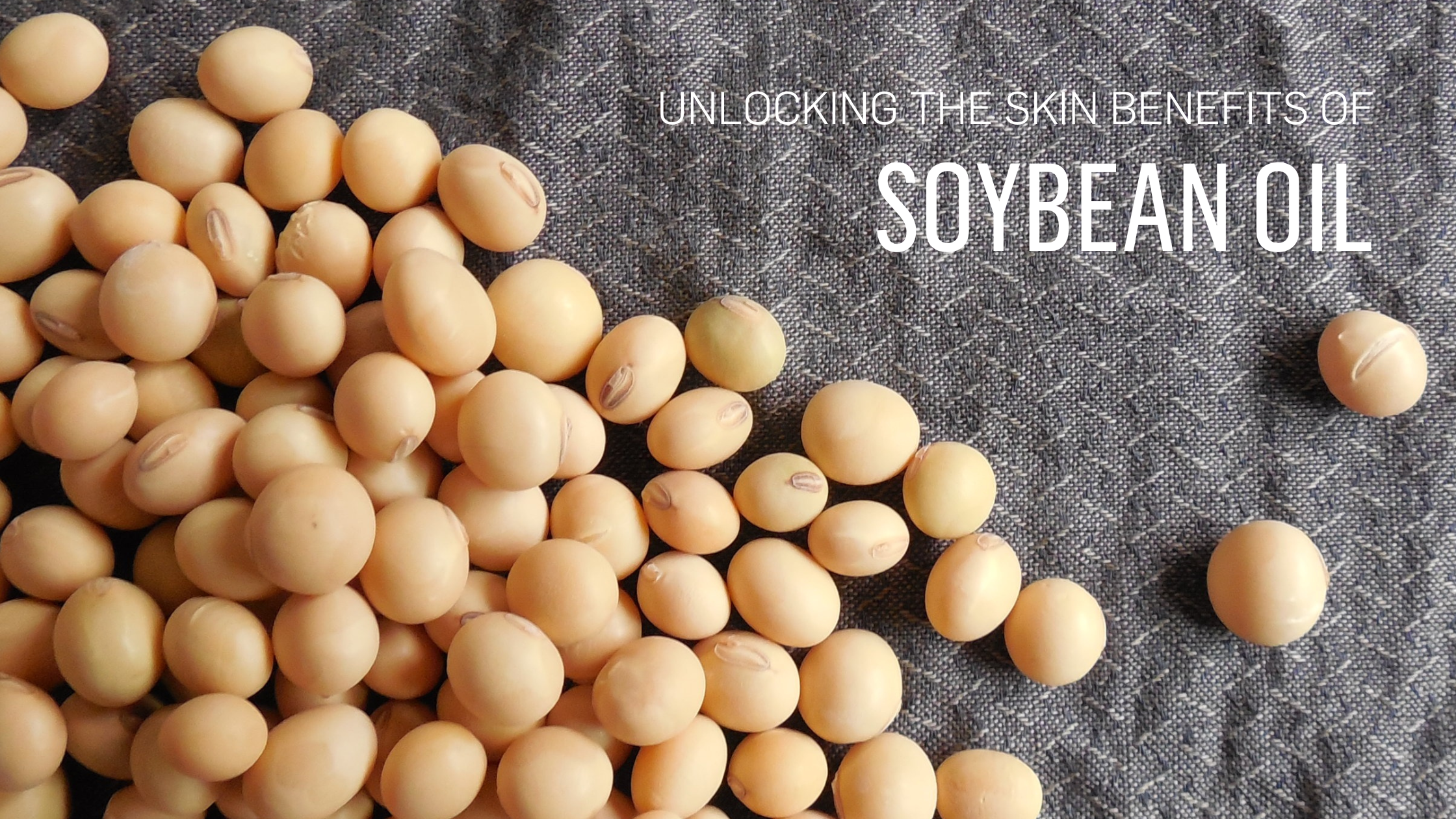 Unlocking the Skin Benefits of Soybean Oil – Kalaia